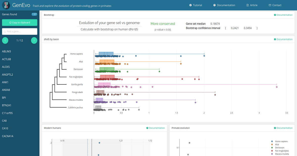 GenEvo - Explore the evolution of protein-coding genes in primates